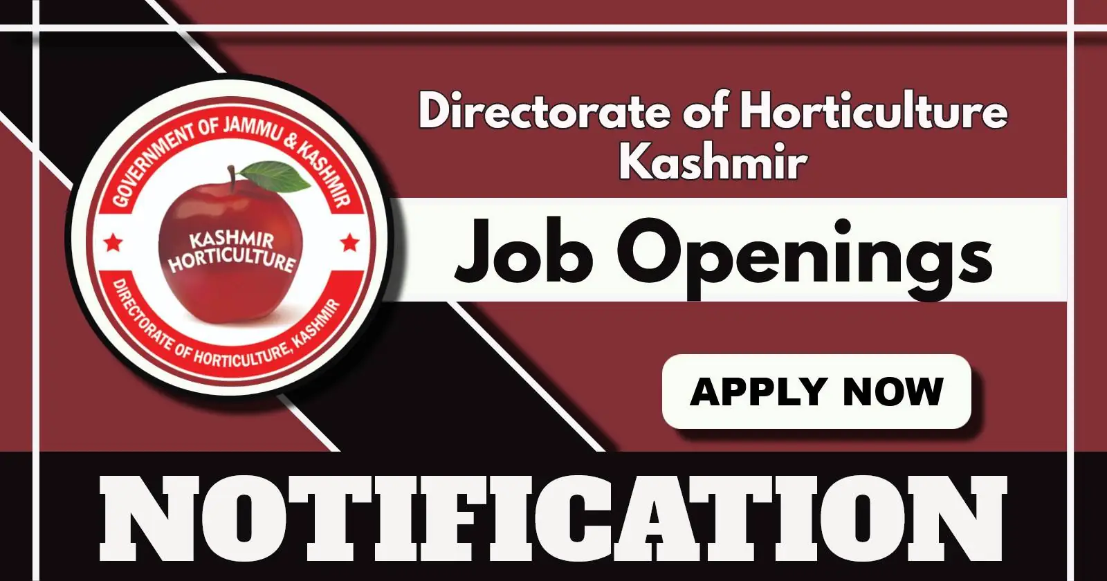 Directorate Of Agriculture Production & Farmers Welfare Notification 2025 Out For Procurement ...